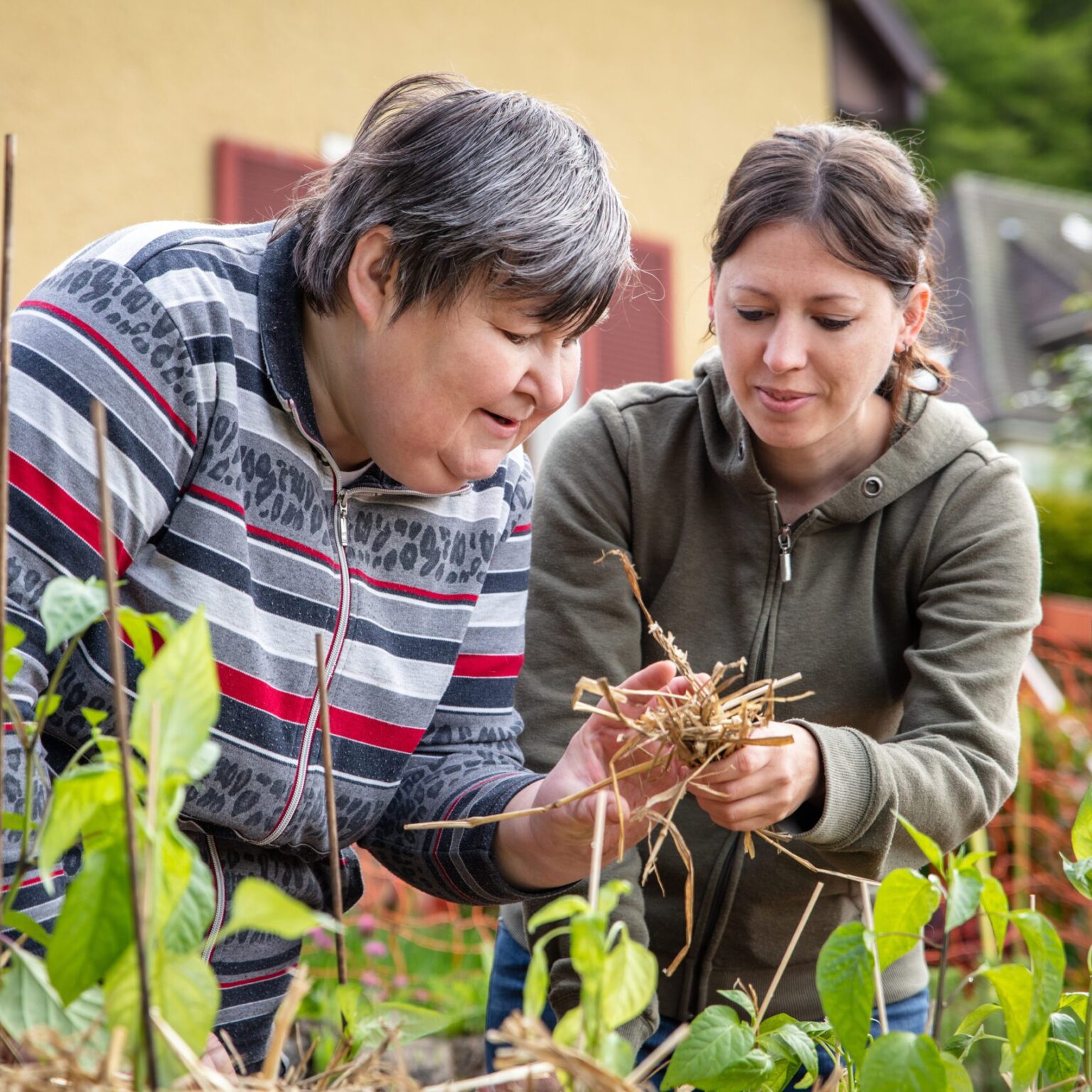 Providers - Access Services