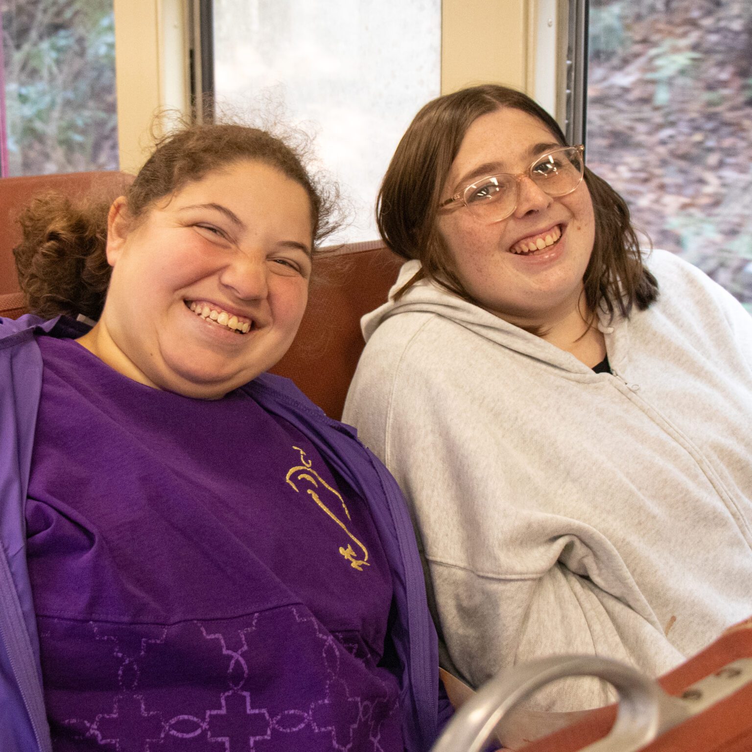Access Services Adult Day Programs & Care Service